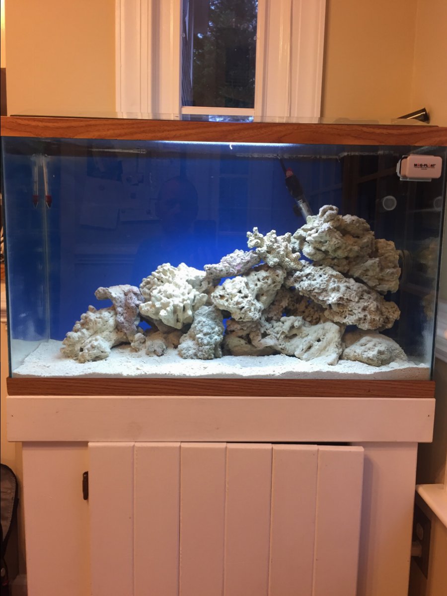 29g Tall with various equipment | REEF2REEF Saltwater and Reef Aquarium ...