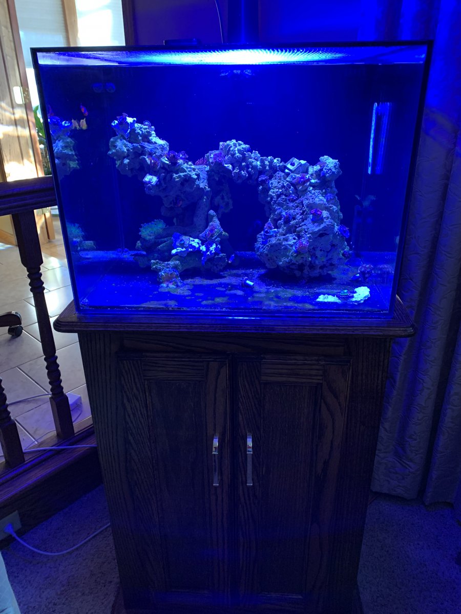 Build Thread - New Build Waterbox with DIY stand | Reef2Reef