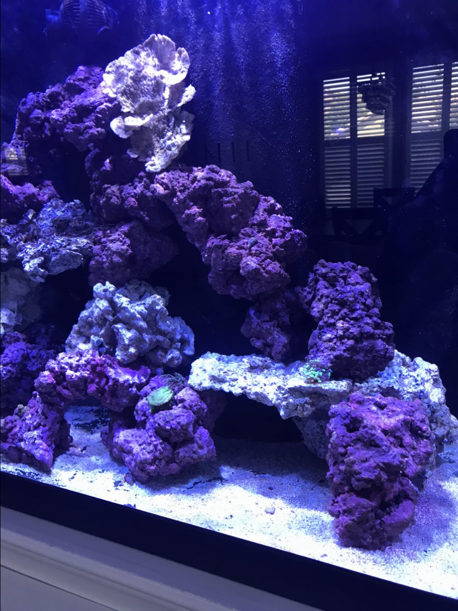 Build Thread - 150 gal, first reef tank! | Reef2Reef