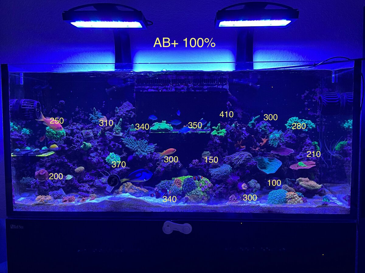 AB+ Par Map - 2x XR30 Pro G6 - 4’ tank | Reef2Reef