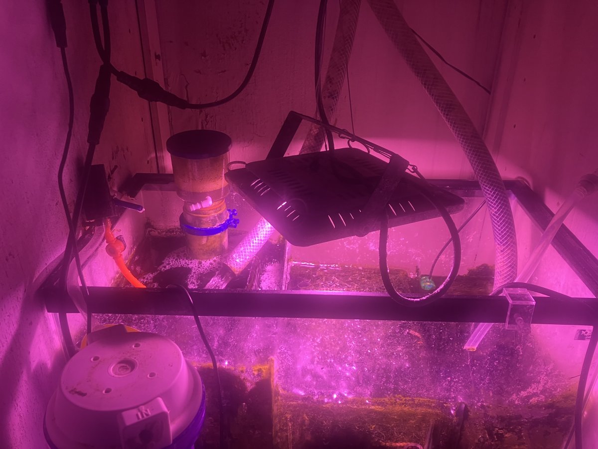 Water rising/falling in sump, can’t use top-off | Reef2Reef