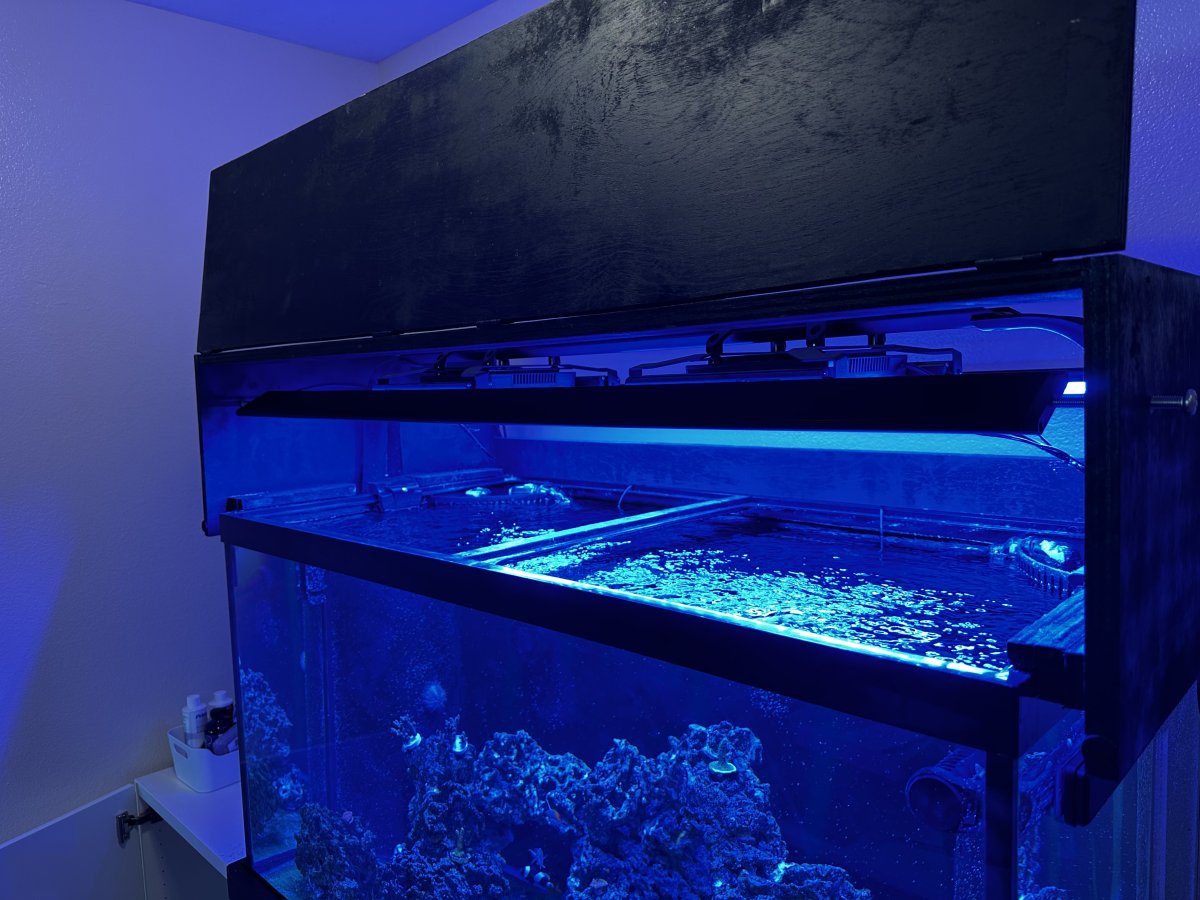 California - Aquariums - Package Deal - Dry Goods - WTS 120g Aquarium ...