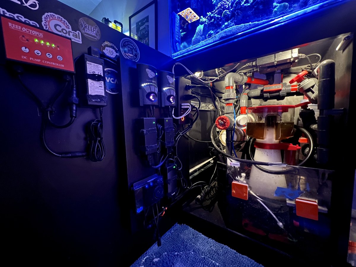 Build Thread - Jenyphur's Red Sea REEFER MAX 300 G2+ Build | Reef2Reef