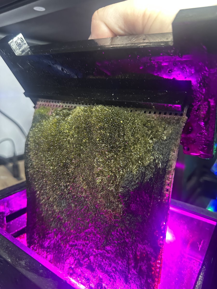 What happened to Adaptive Reef Algae Scrubbers? | Reef2Reef