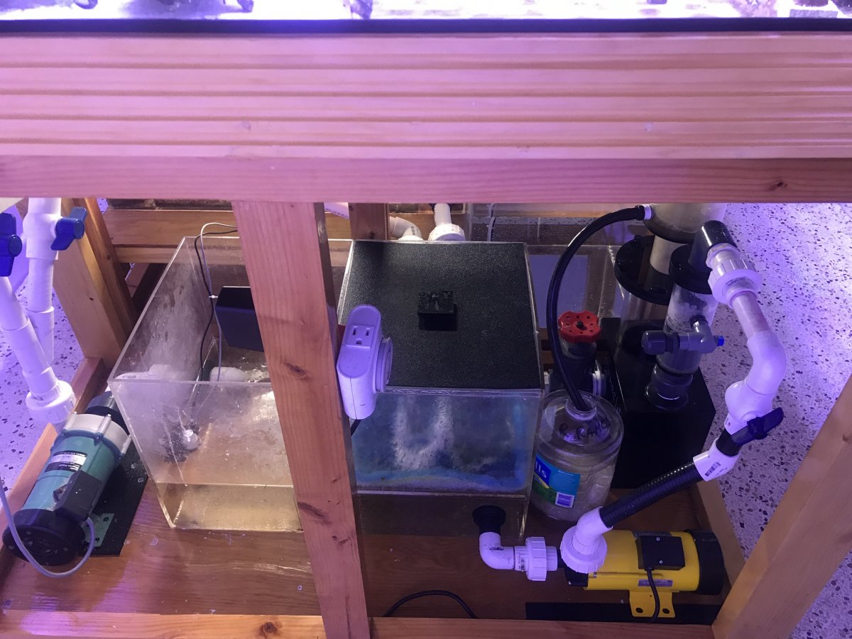 Destroyer of Skimmers | Reef2Reef