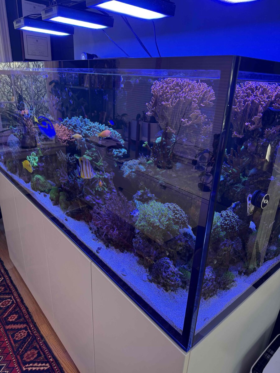New York - Aquariums - Package Deal - Dry Goods - SOLD - Red Sea S-850 ...