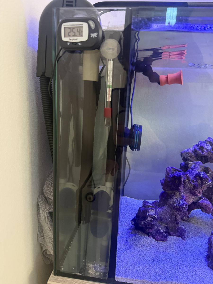 TMC new tank set up | Reef2Reef