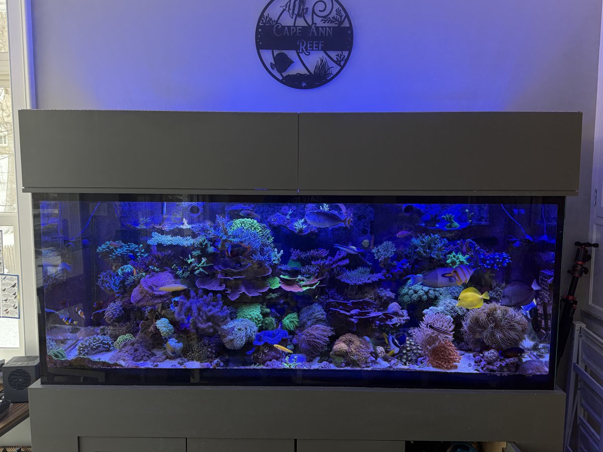 Let's see your reef tank's progression. | Reef2Reef