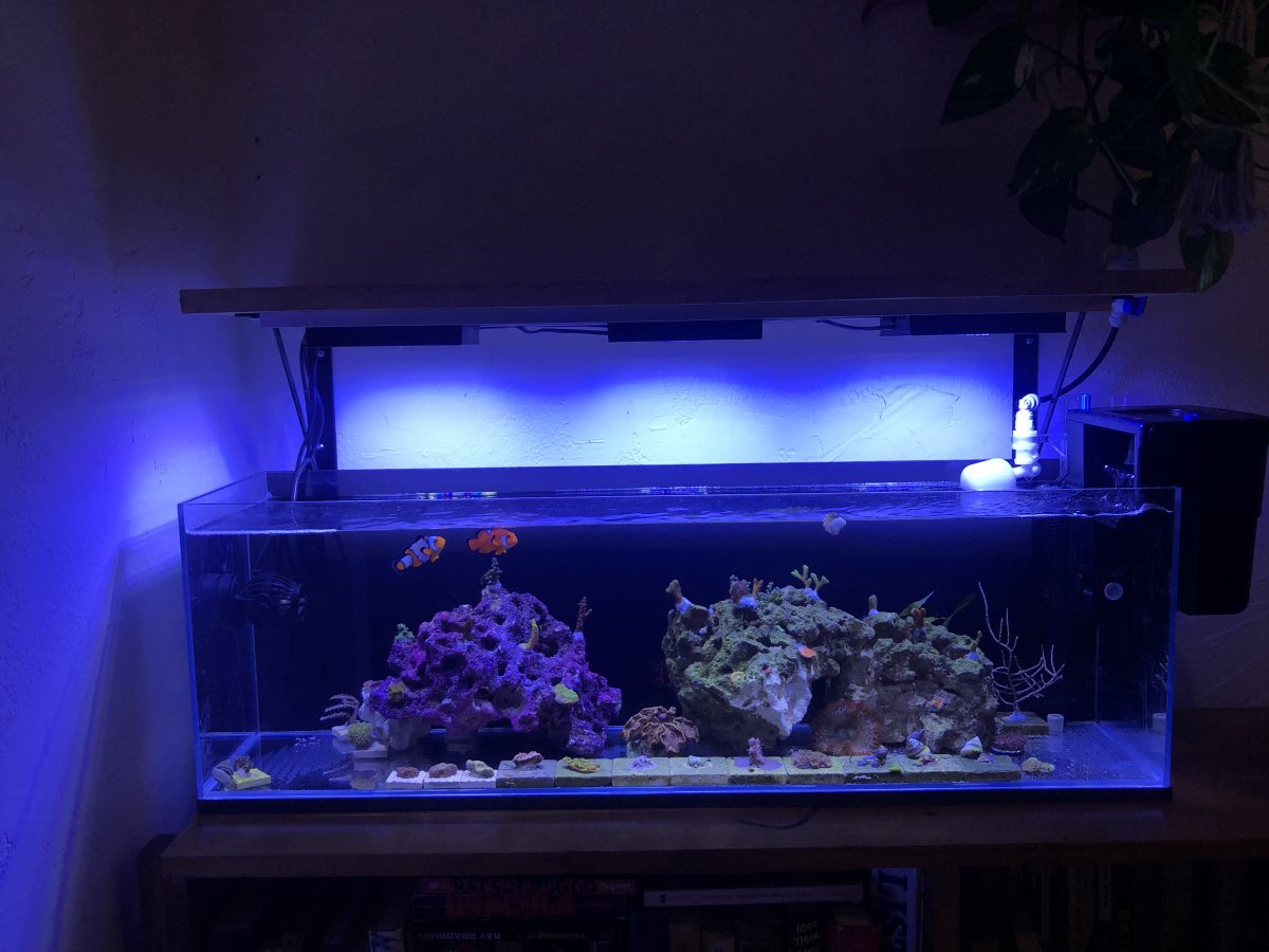 DIY mount for Fluval nano LED | Reef2Reef