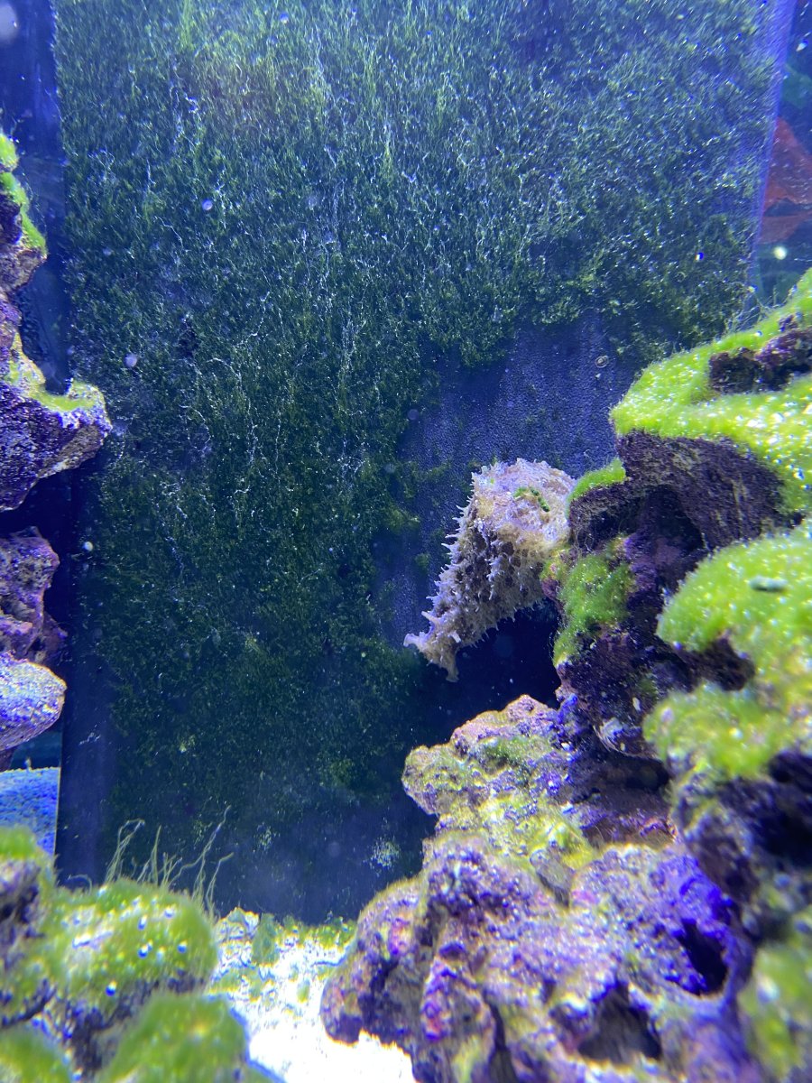 The official school fish tank donation fund! | Reef2Reef