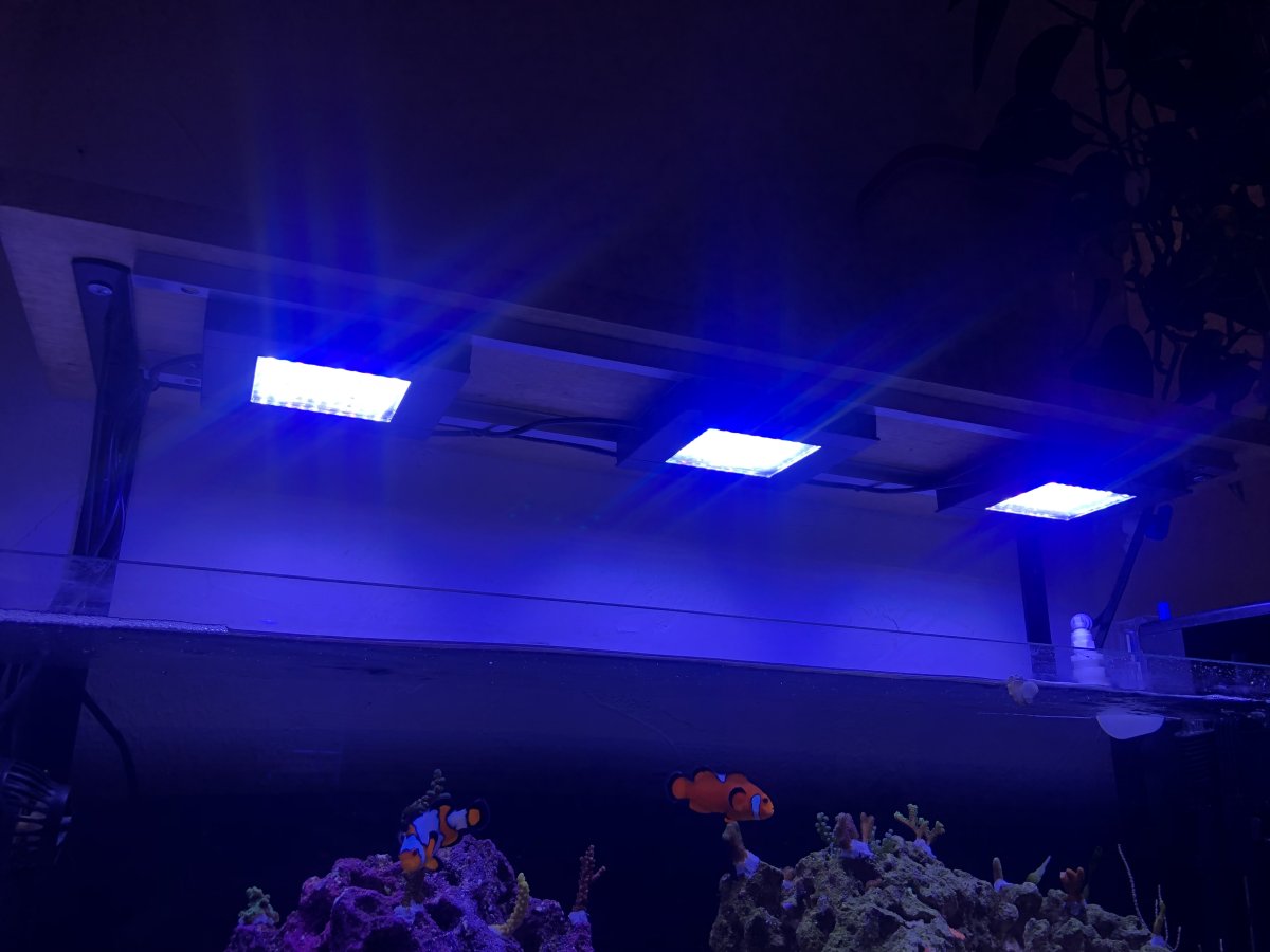 DIY mount for Fluval nano LED | Reef2Reef