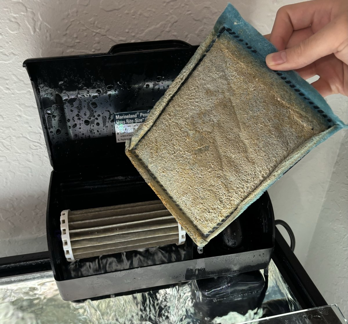 Tank maintenance filter cleaning | Reef2Reef