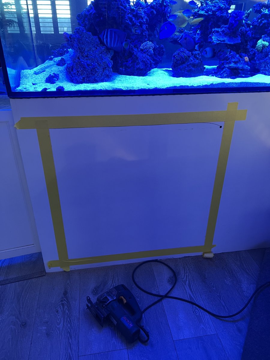 Large Build - TL’s big boy peninsula 385 gal Sps build! | Page 24 ...