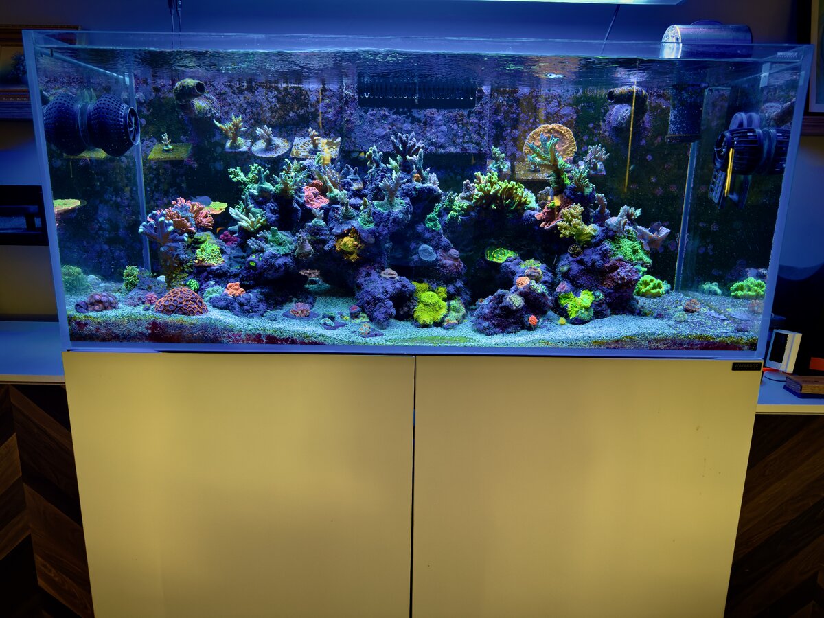 Nano Build - RRIII 7g Office Floating Ledge Reef | Reef2Reef