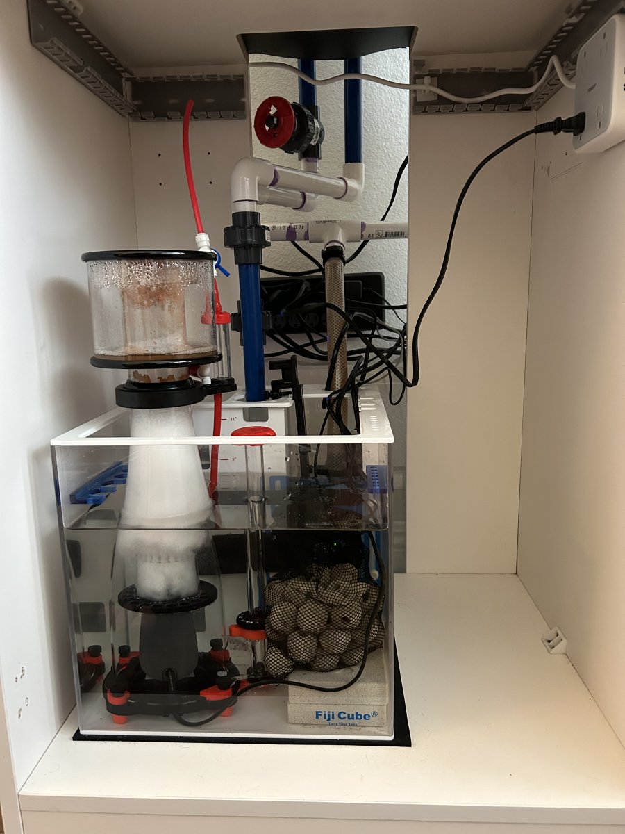 Build Thread - Fiji Cube Fiji-24 Advanced Reef Sump Questions | Reef2Reef