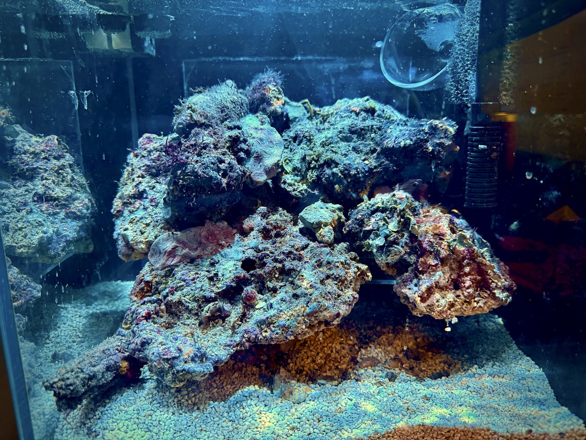 Nano Build - RRIII 7g Office Floating Ledge Reef | Reef2Reef