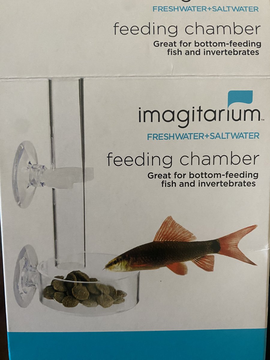 Using Feeding Chambers | Reef2Reef