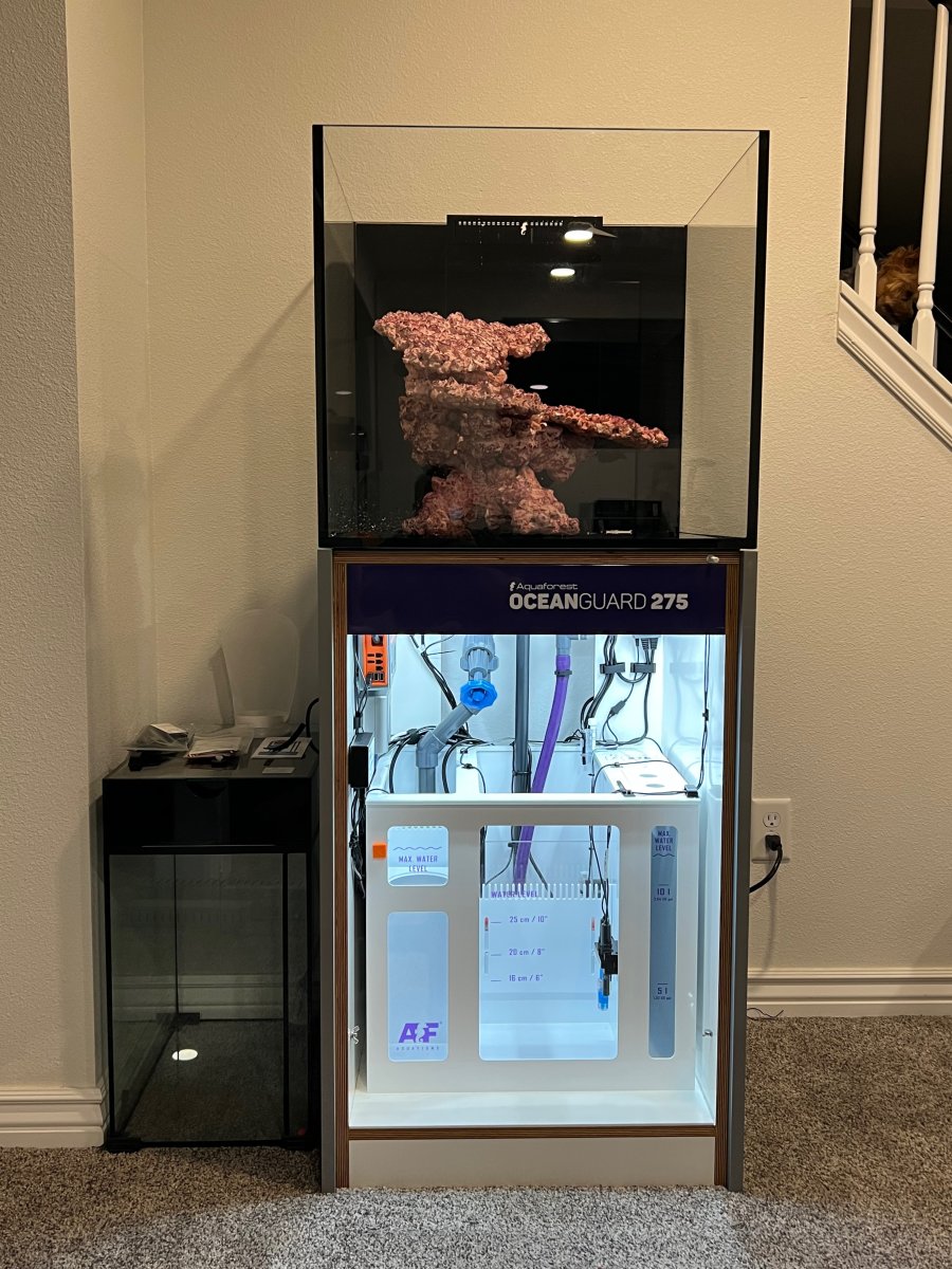 Build Thread - LoCo Reef Aquaforest Ocean Guard 275 Cube | Reef2Reef