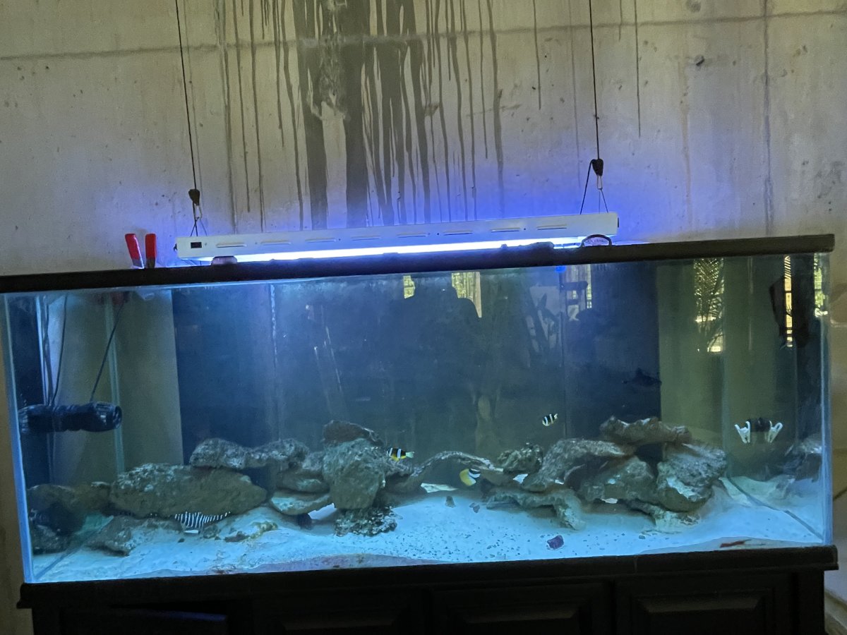 Moving 225 gallon aquarium | Reef2Reef