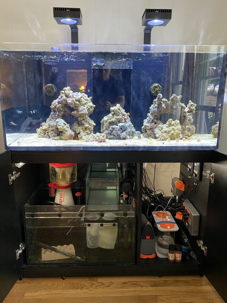 Moving and thinking of selling - Red Sea Reefer Deluxe XL 425 and ...