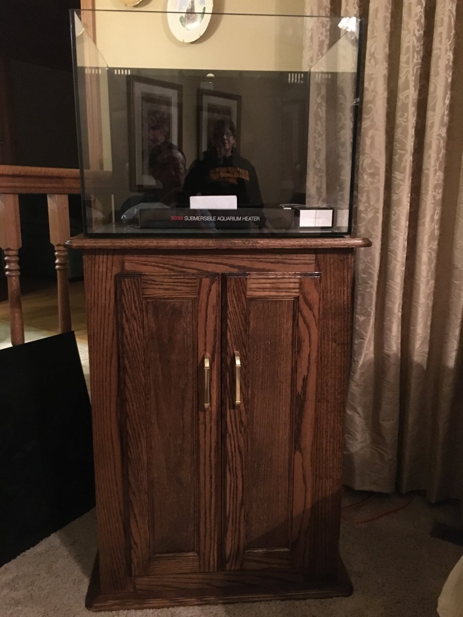 Build Thread - New Build Waterbox with DIY stand | Reef2Reef