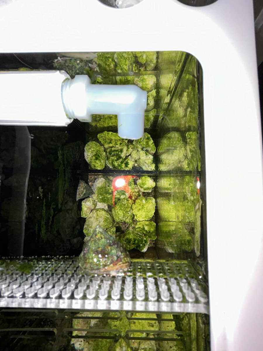 Let me see your ugly refugiums! | Reef2Reef
