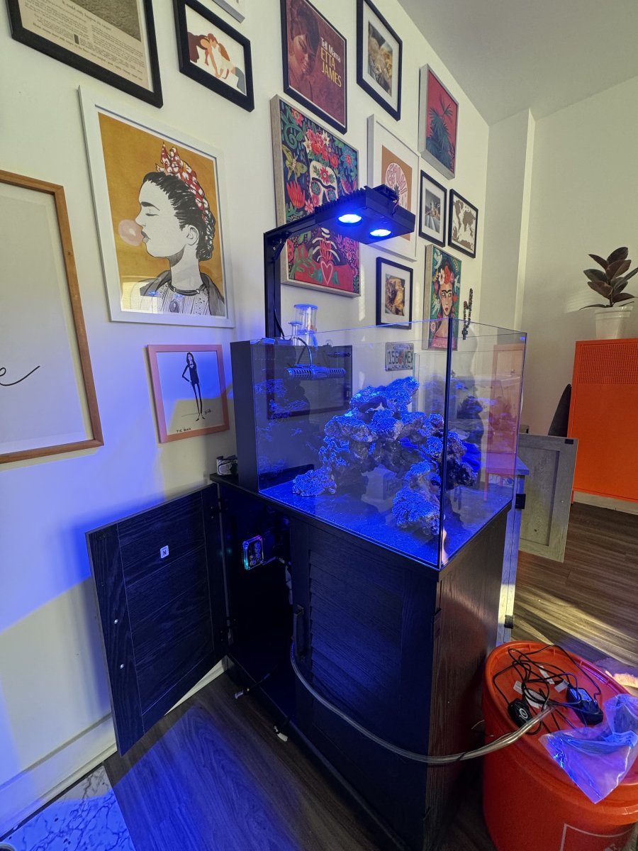 AIO Build - Waterbox Cube 25 Peninsula Nano AIO build | Reef2Reef