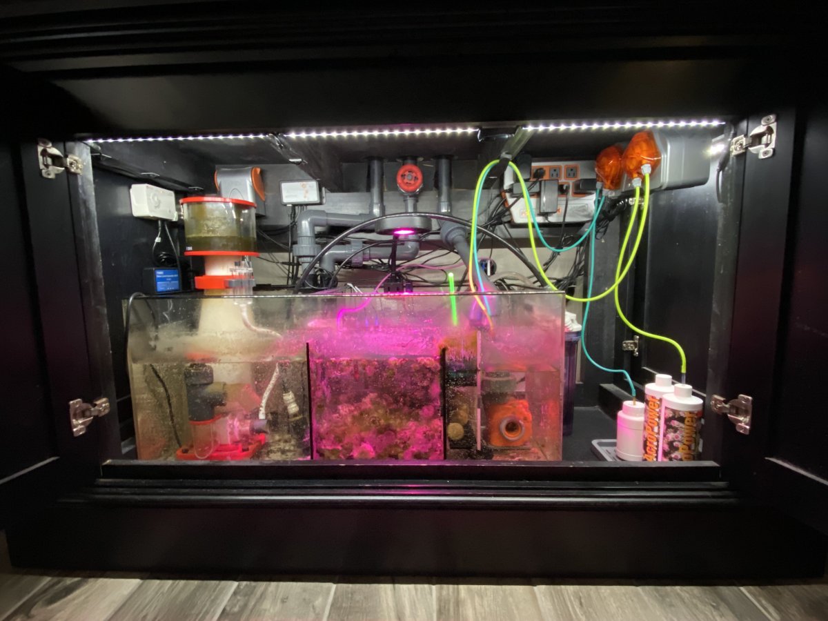 Build Thread - Migration from 110g Reef Savvy to RedSea Reefer-S G2 ...