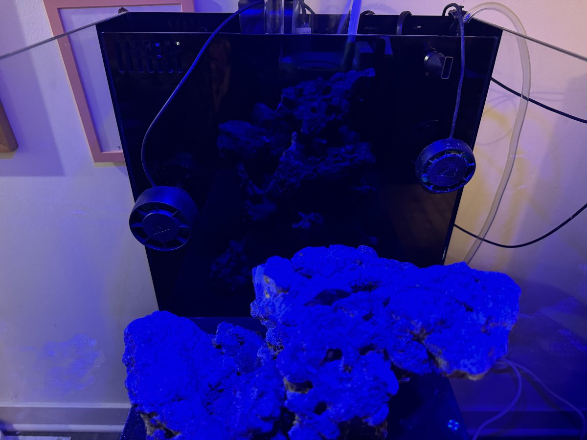 AIO Build - Waterbox Cube 25 Peninsula Nano AIO build | Reef2Reef