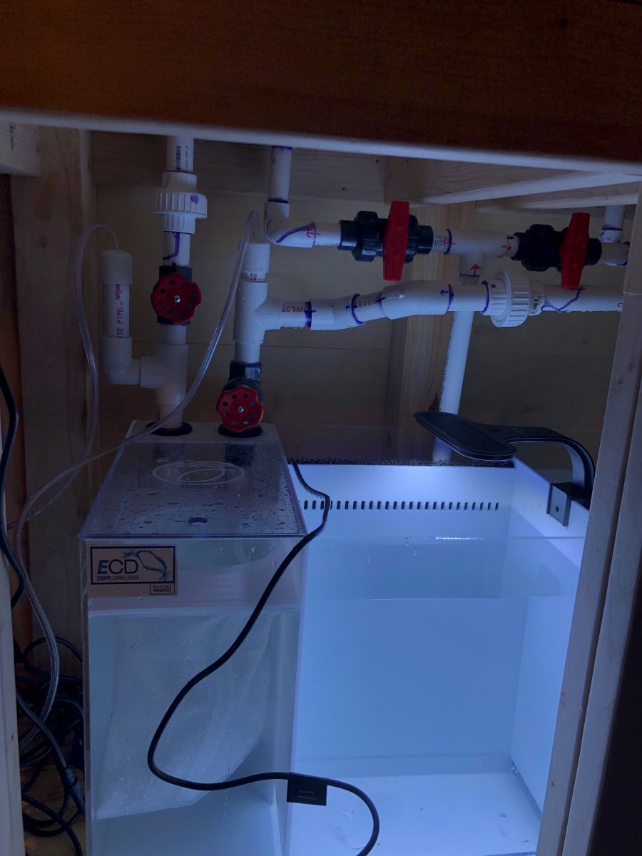 Plumbing Help! | Reef2Reef