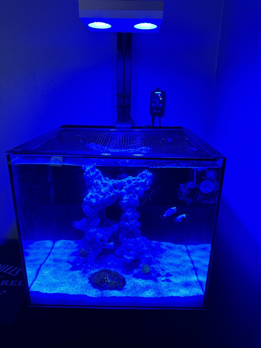 Build Thread - Waterbox 20 - First Time Reefer | Reef2Reef