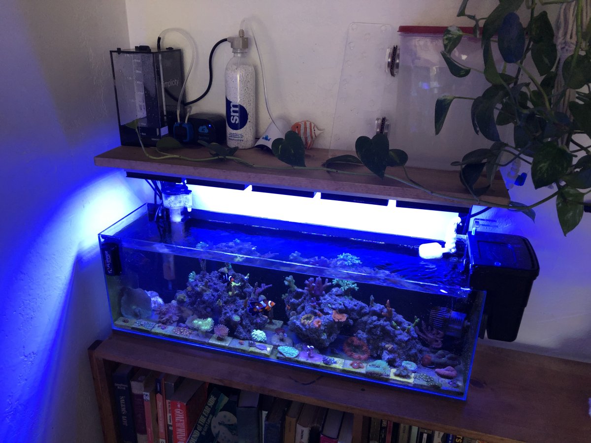 DIY mount for Fluval nano LED | Reef2Reef
