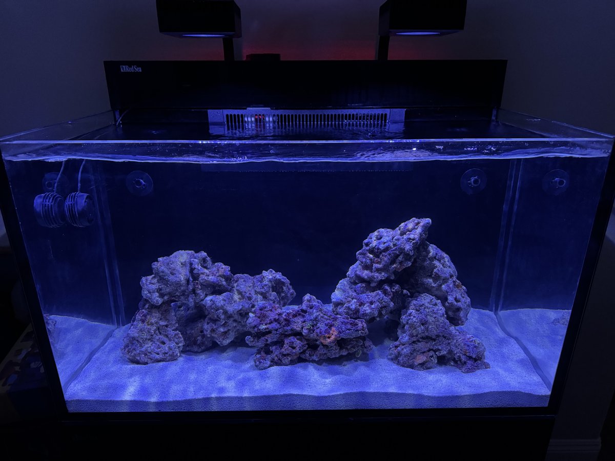 AIO Build - Nano Max XXL Build | Reef2Reef