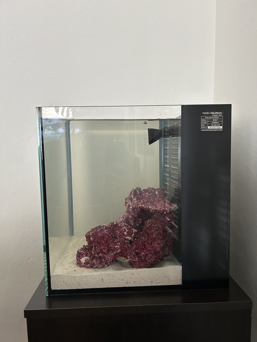 New NUVO Fusion 15 build | Reef2Reef