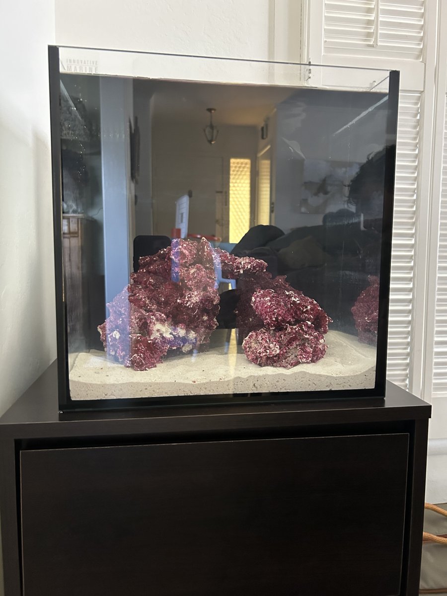 New NUVO Fusion 15 build | Reef2Reef