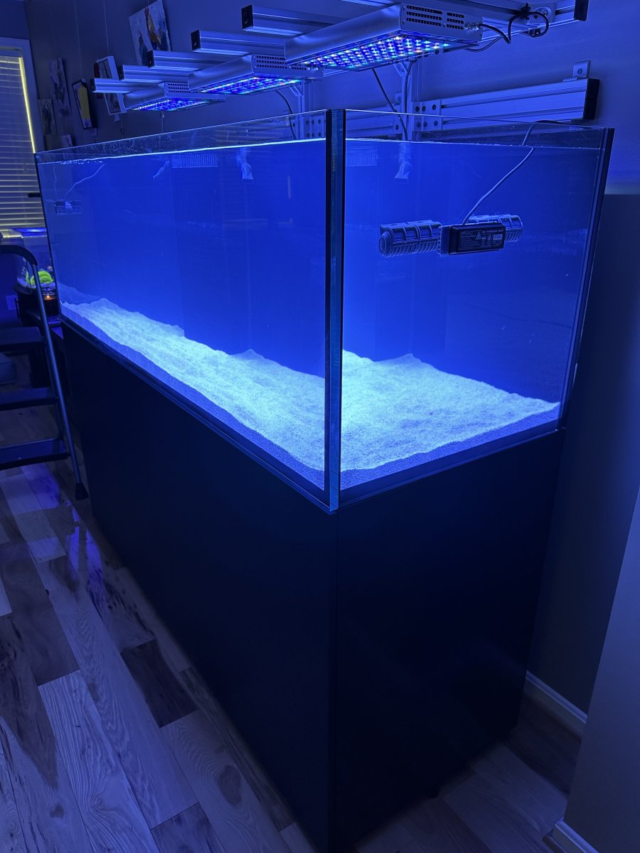 Waterbox Infinia 230.6 build | Reef2Reef