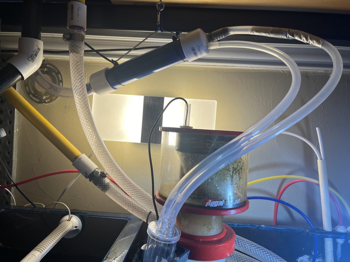Purification of outside air to skimmer? | Reef2Reef