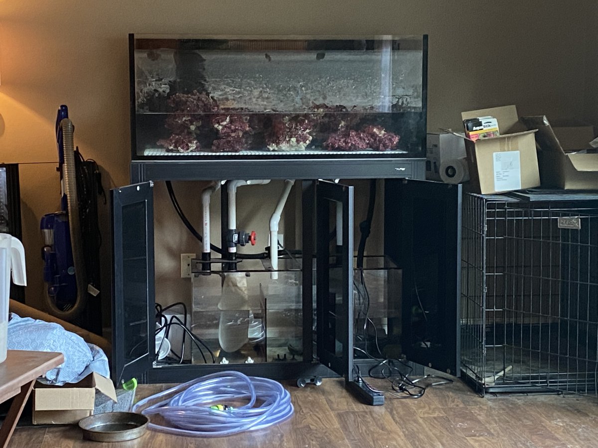 Sump Layout Show-and-Tell: What’s in Your Sump and Why? | Reef2Reef