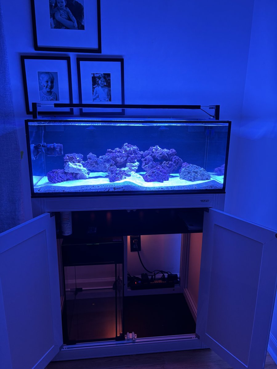 What about the wall behind the tank!?!? | Reef2Reef