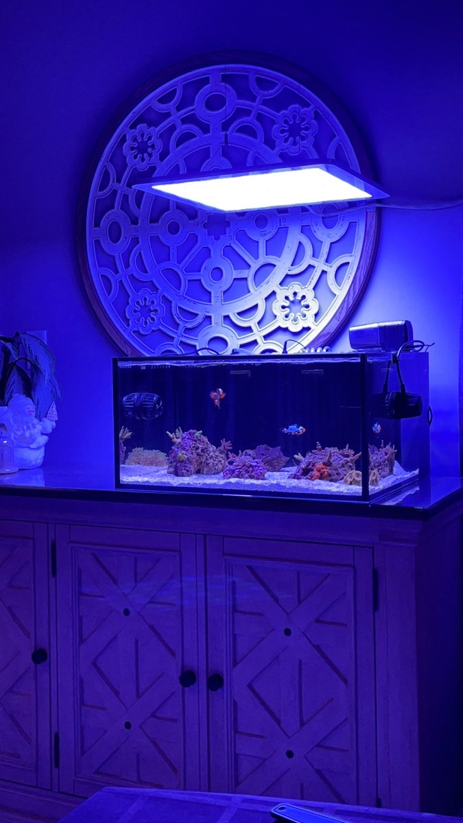 Nano Build - New lagoon build | Reef2Reef