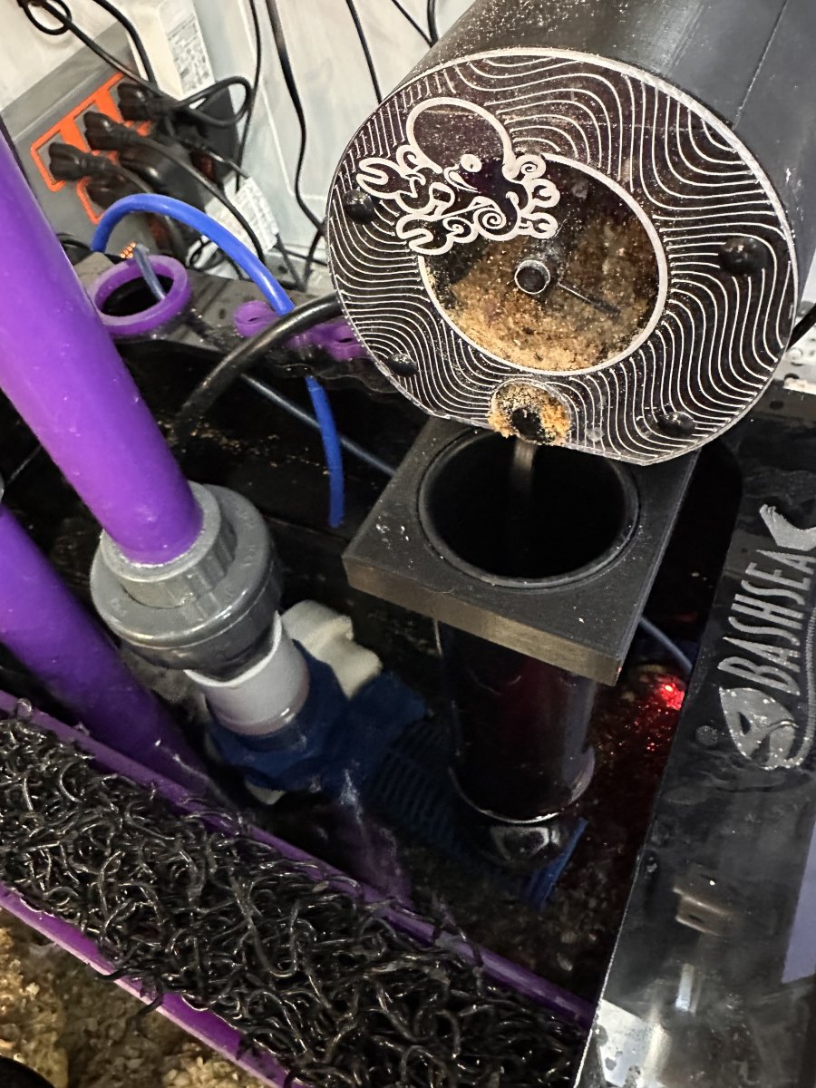 Fish Auto Feeder in Sump | Reef2Reef