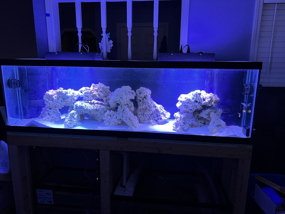 Build Thread - New 125 gallon Saltwater Tank setup | Reef2Reef