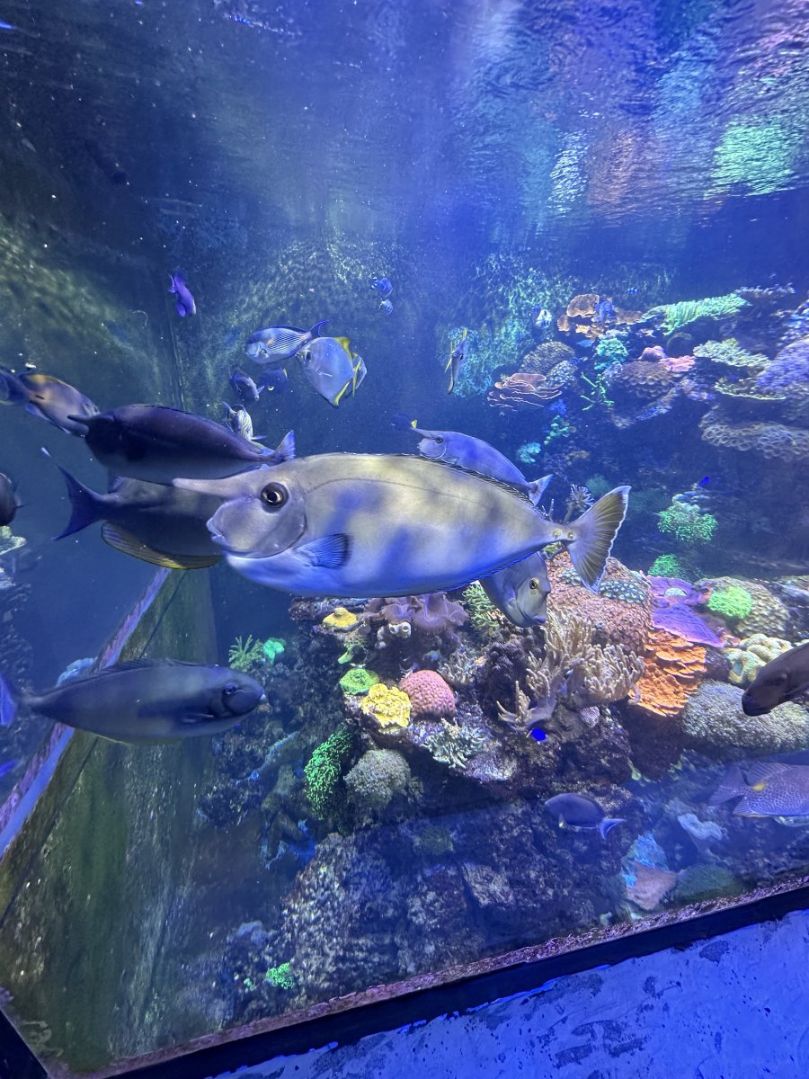 Monster Build - DIY Concrete Aquarium 5,000 gallon - Anderson Family ...