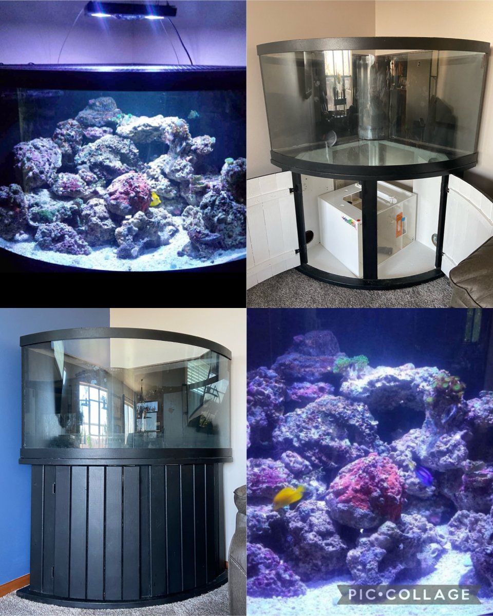 Wisconsin - Package Deal - Dry Goods - 92 gallon complete WI | Reef2Reef