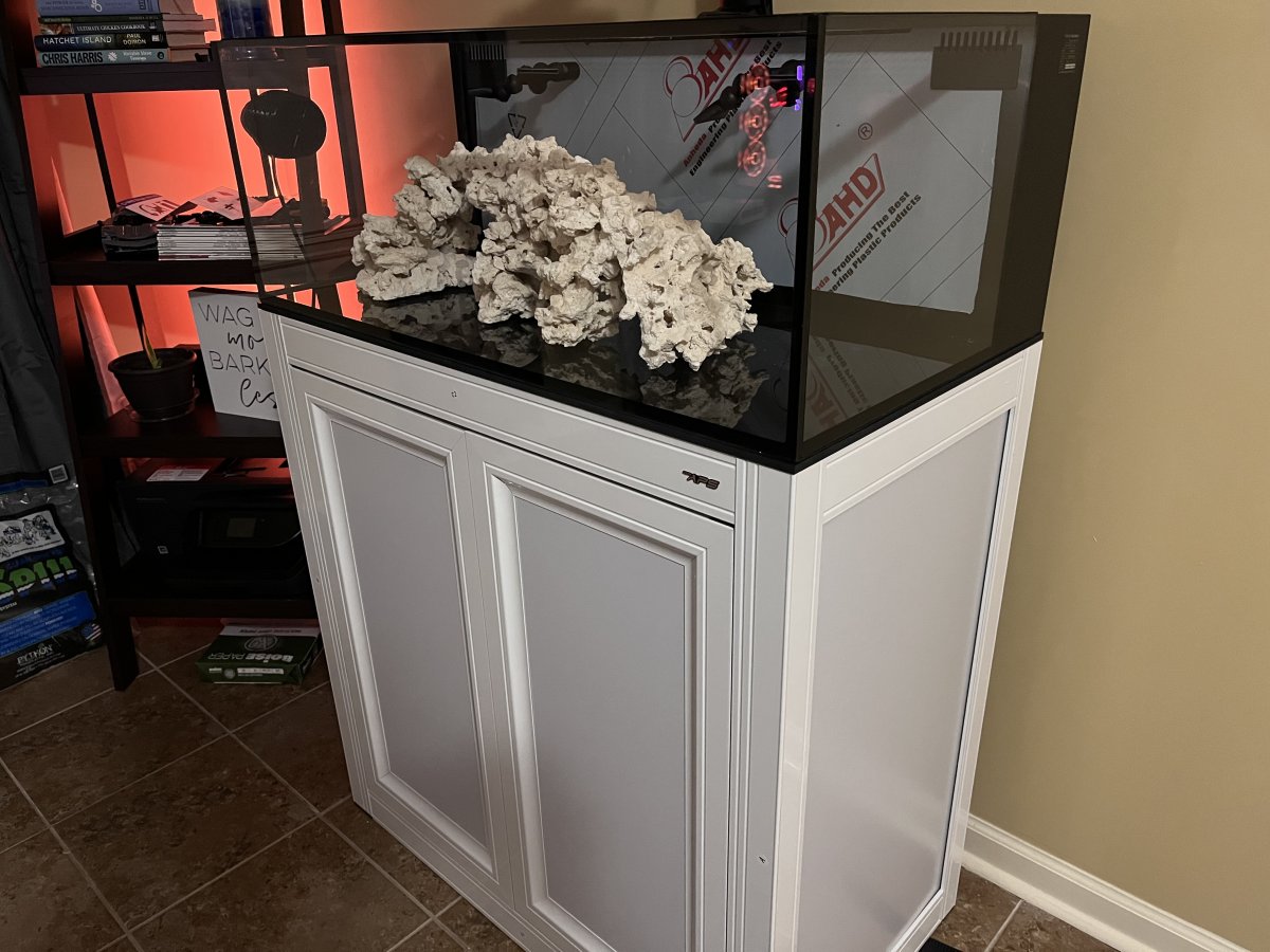 AIO Build - My first tank: Innovative Marine 40G Lagoon | Reef2Reef