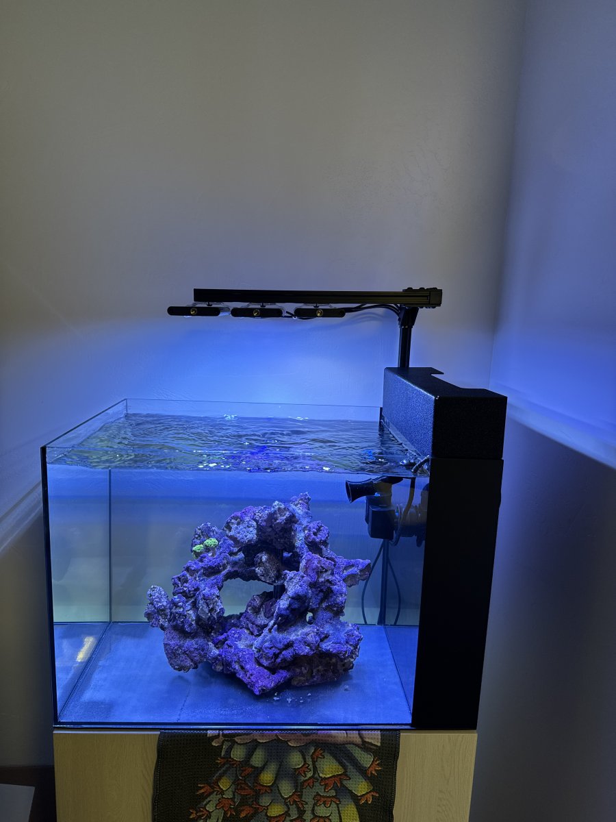 My “Proof of Concept” Aquarium | Reef2Reef