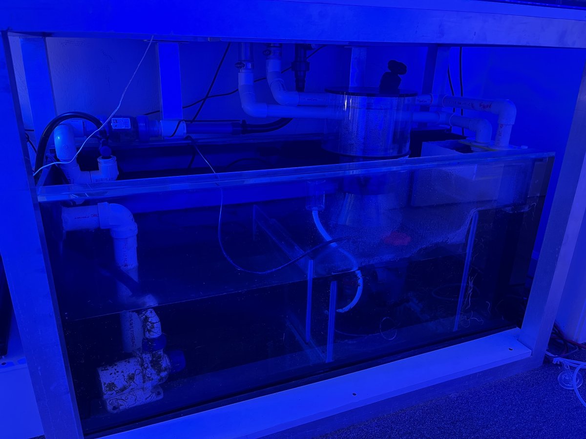 Florida - Aquariums - Aquarium Controller - Lighting - Return Pumps ...