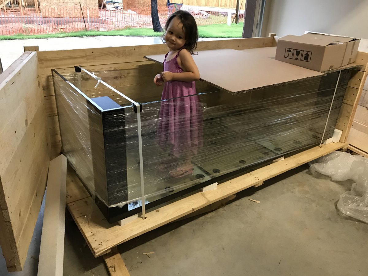 Large Build - Roses' Reef Tank Build Elos 200 XL | Reef2Reef