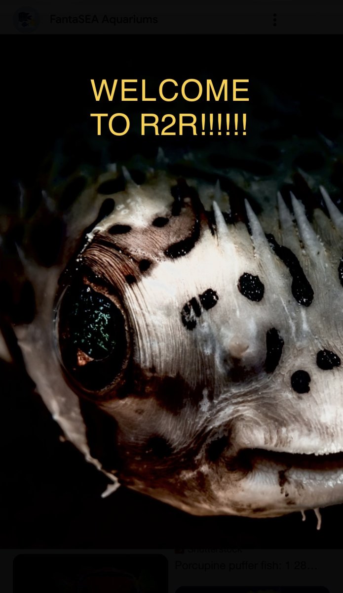 Hello - Semi-n00b | Reef2Reef