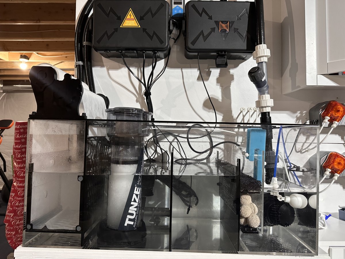 Build Thread - Matt's dream 90 gallon glass cages build | Reef2Reef